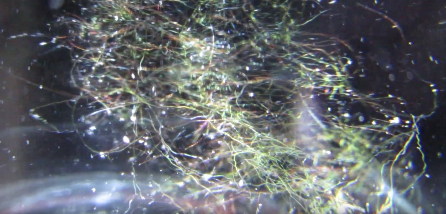 Liquid Plasma Object – plasmashop