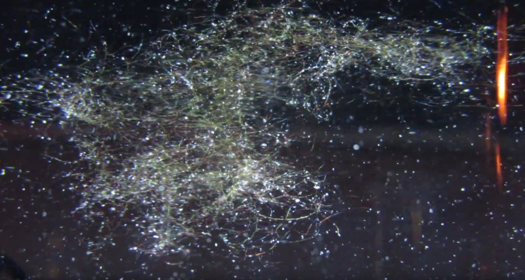 Liquid Plasma Object – plasmashop