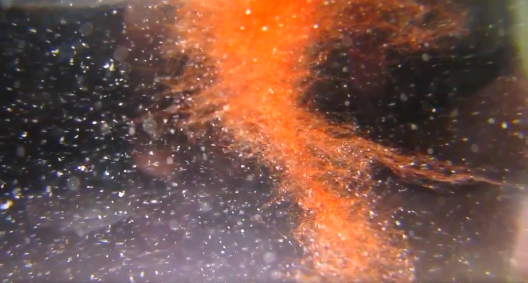 Liquid Plasma Object – plasmashop