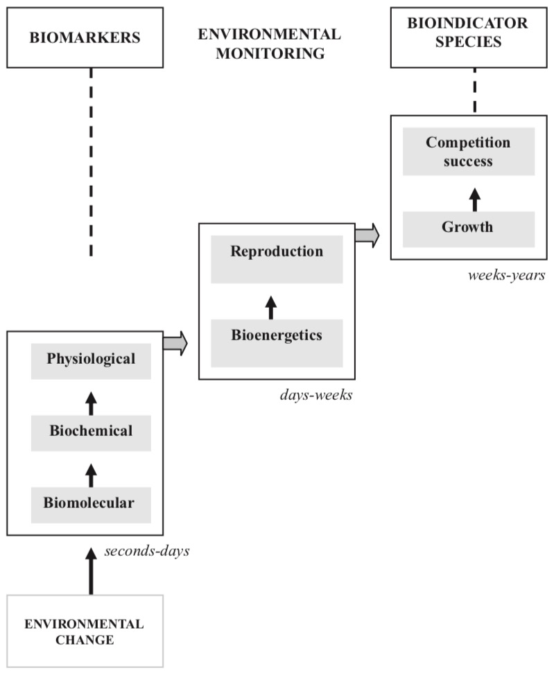 Environmental indicators for monitoring the health of ecosystems ...